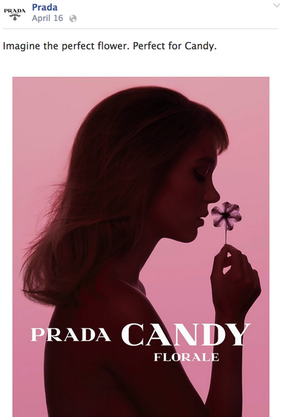 Prada dreams up imaginary flora to define target consumer traits ...