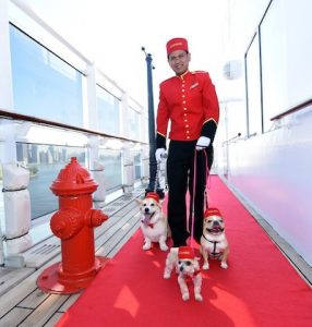 Luxury And Travel Hub: Cunard puts focus on pet-centric services ...